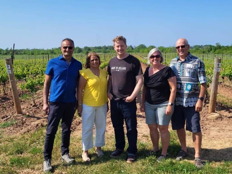 Beamsville Wineries