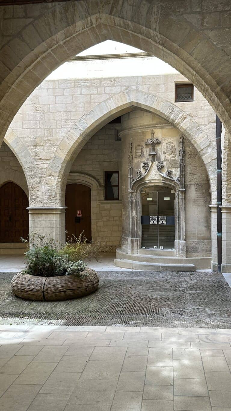 Things to do in Avignon: 15 Amazing Sights To See In 2025