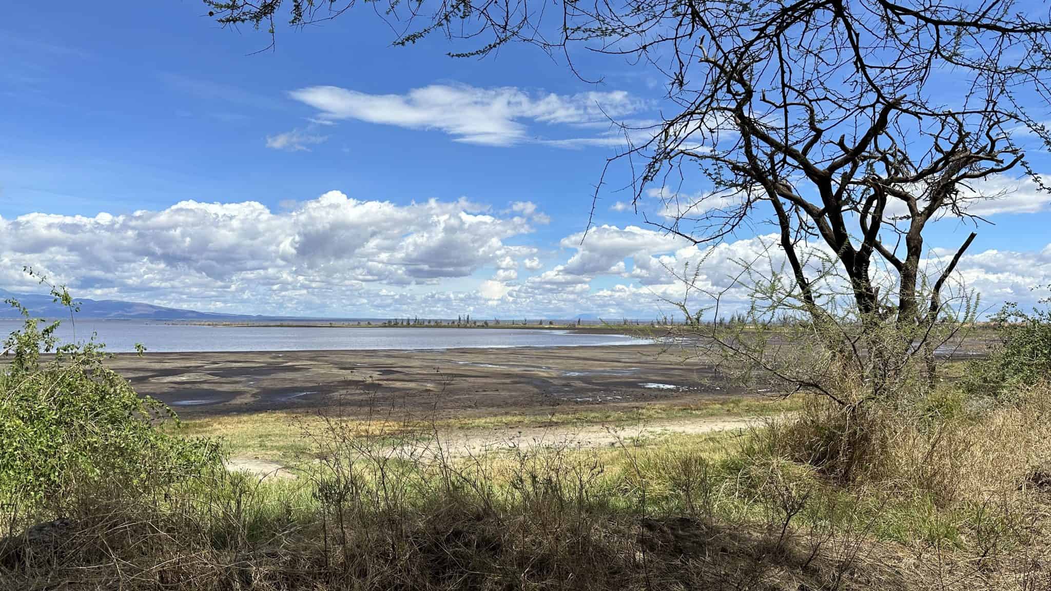 Manyara National Park - A Park With A View