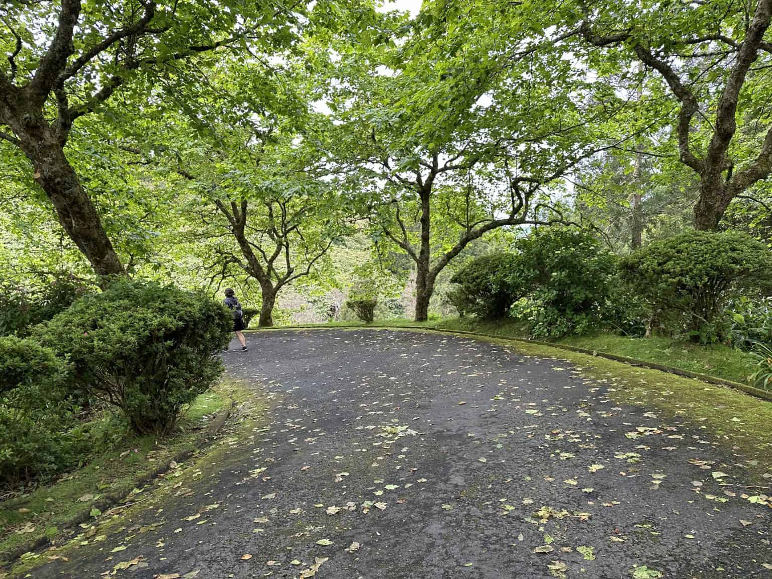 Top Things To Do In Furnas Azores Must See Attractions (2025)