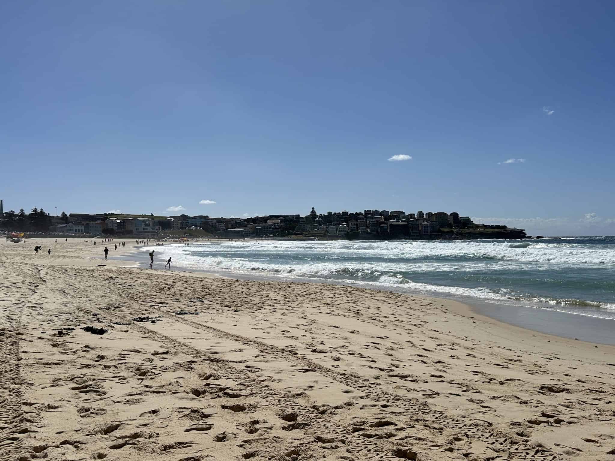 Explore the Bondi to Coogee Coastal Walk: Beaches and Scenic Views In ...