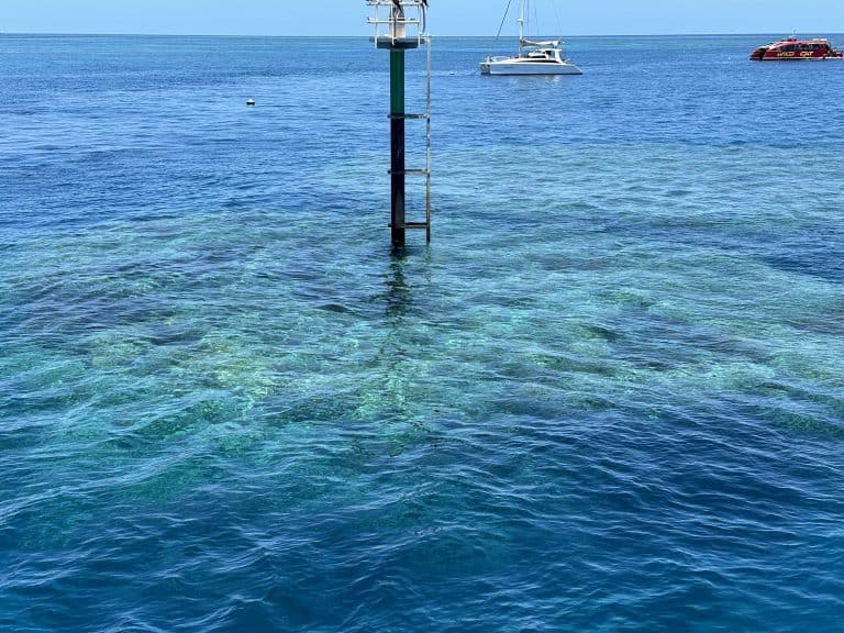 Travel Guide For Hamilton Island: Explore Whitsundays And Great Barrier ...